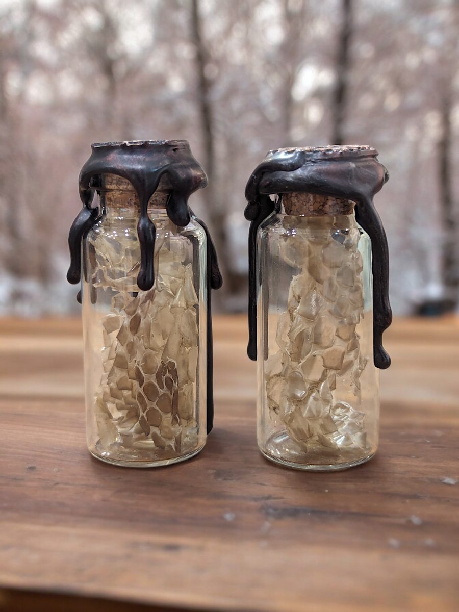 Snake skin oddity jar – Luna Lovewitch